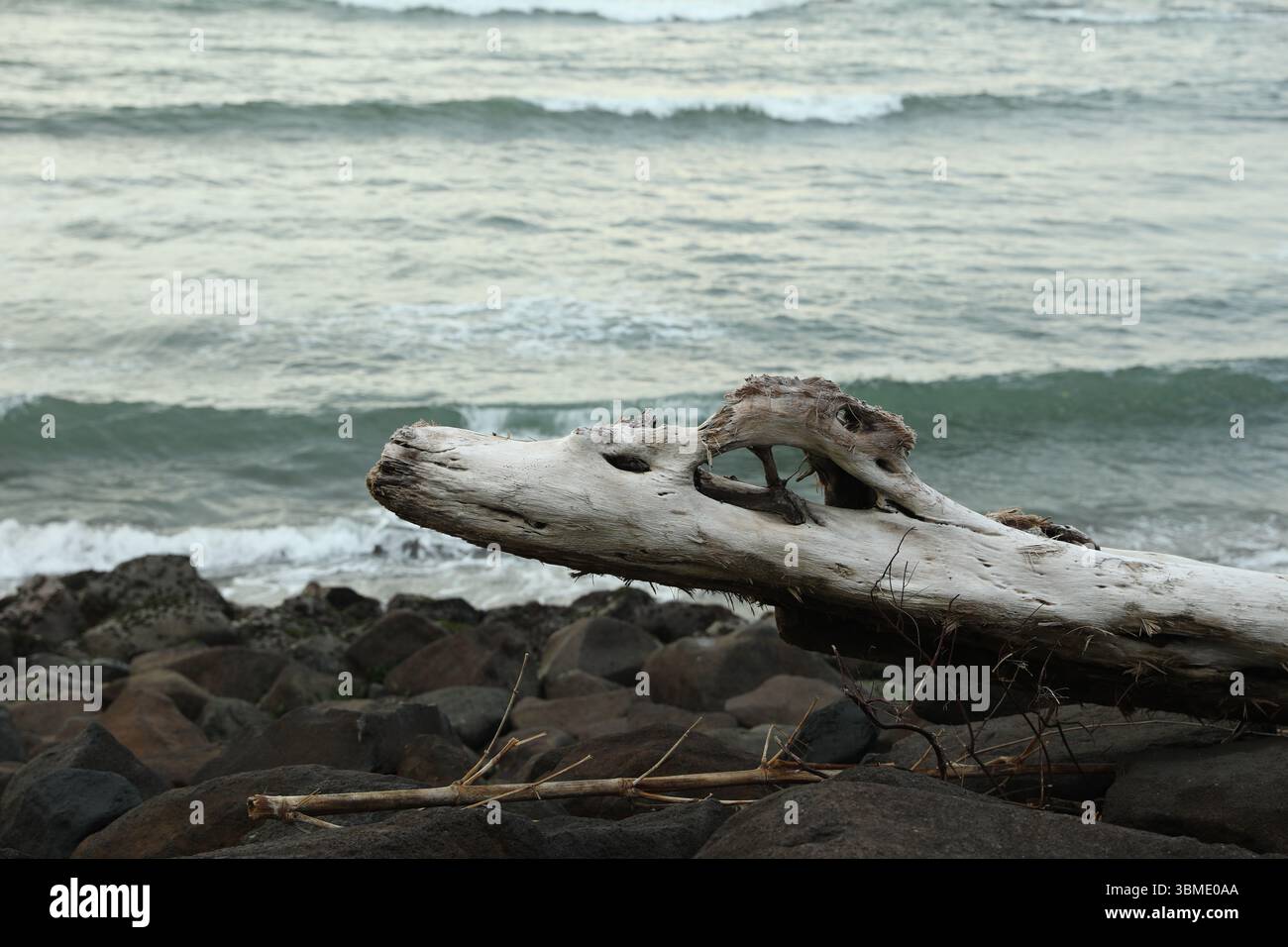 Stones snag on beach near hi-res stock photography and images - Alamy