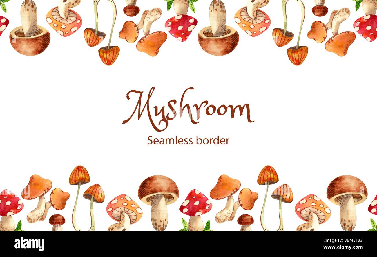 Seamless border with autumn leaves, berries and mushrooms on a white ...