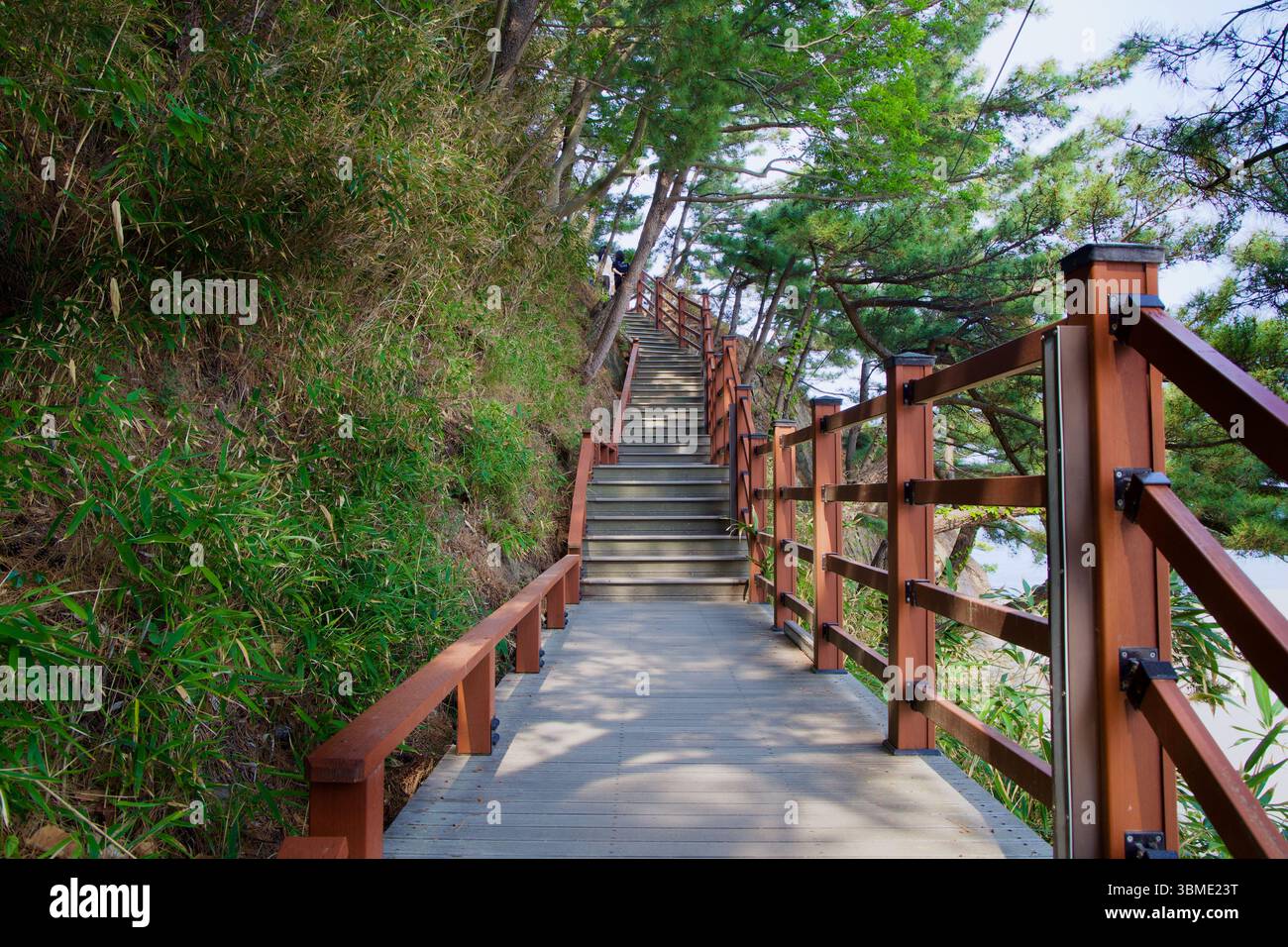 Samcheok City, South Korea - May 31st 2025: Wooden stairs climb the ...