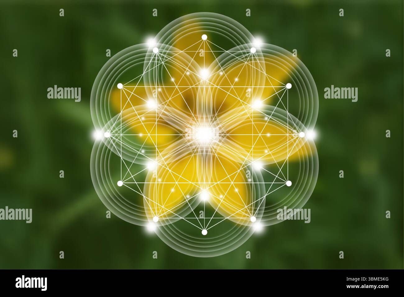 Seed Flower of life lotus icon, logo mandala sacred geometry, symbol of ...