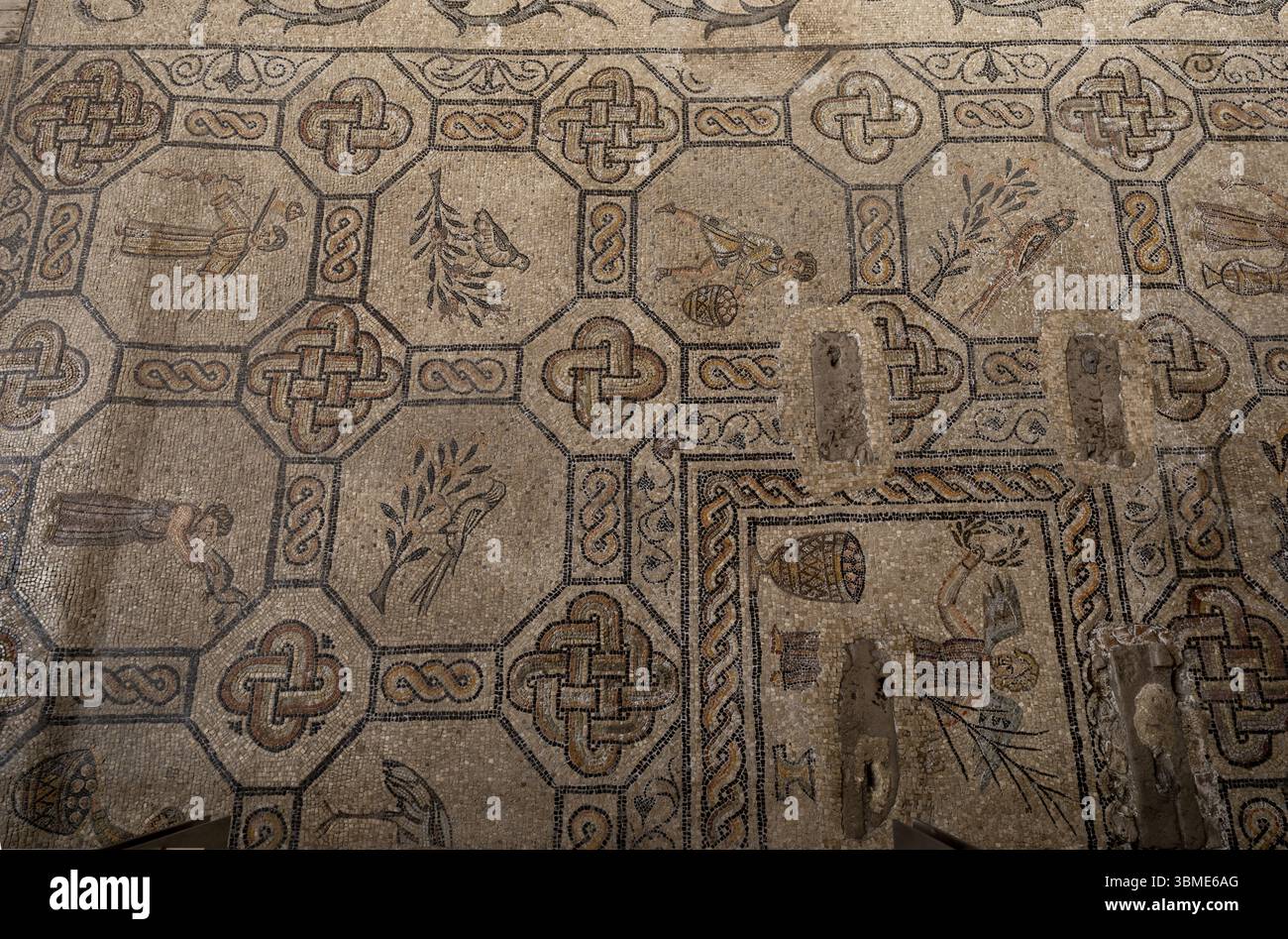 Early Christian floor mosaics from the 4th century in the Romanesque ...