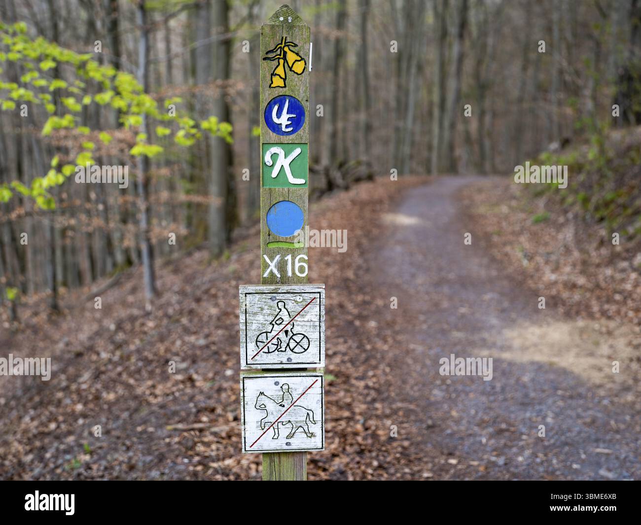 Wooden posts with trail markings and symbols for hiking trails ...