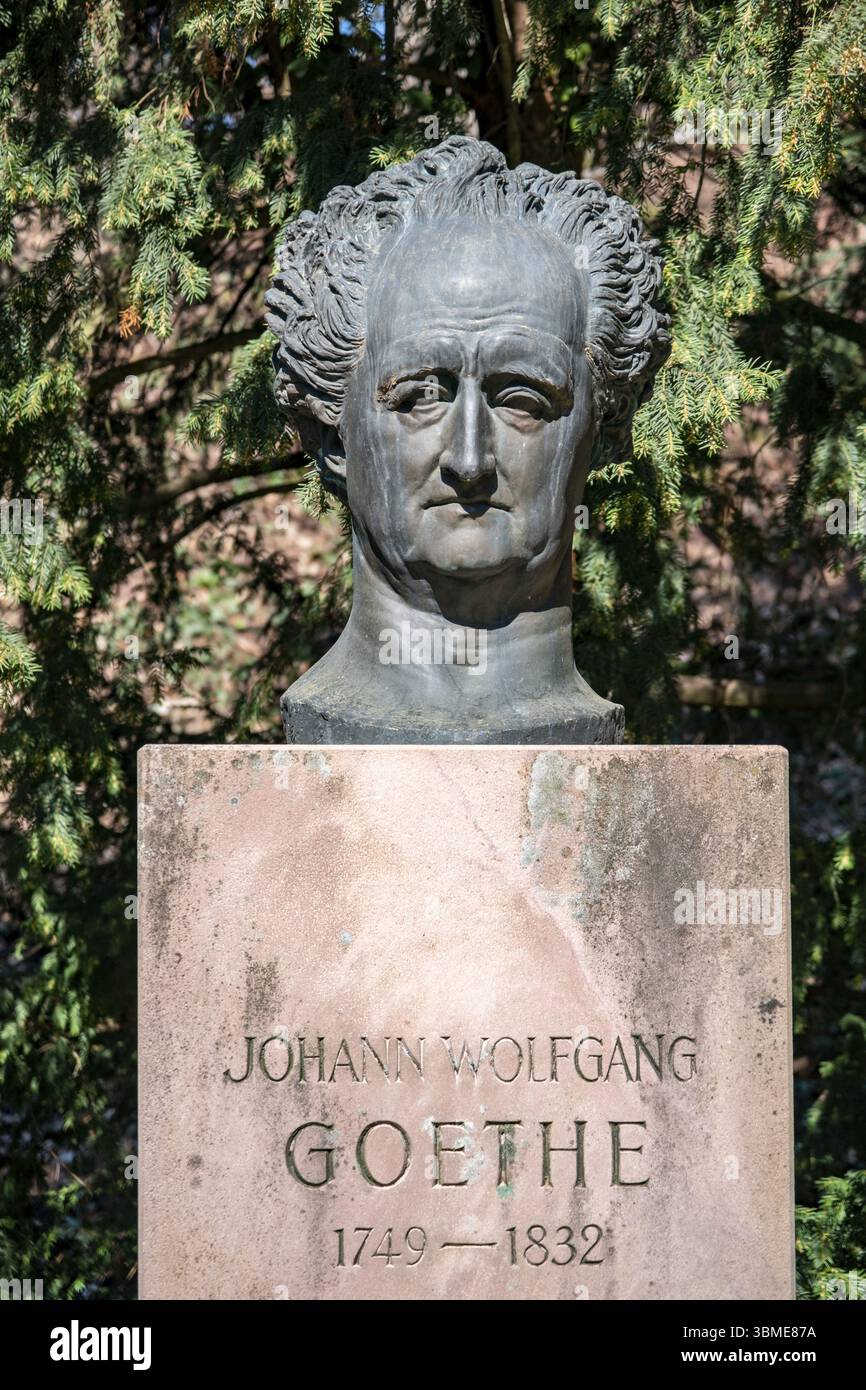 Bust of Johann Wolfgang Goethe, sculpted by David D'Angers in 1829, in ...