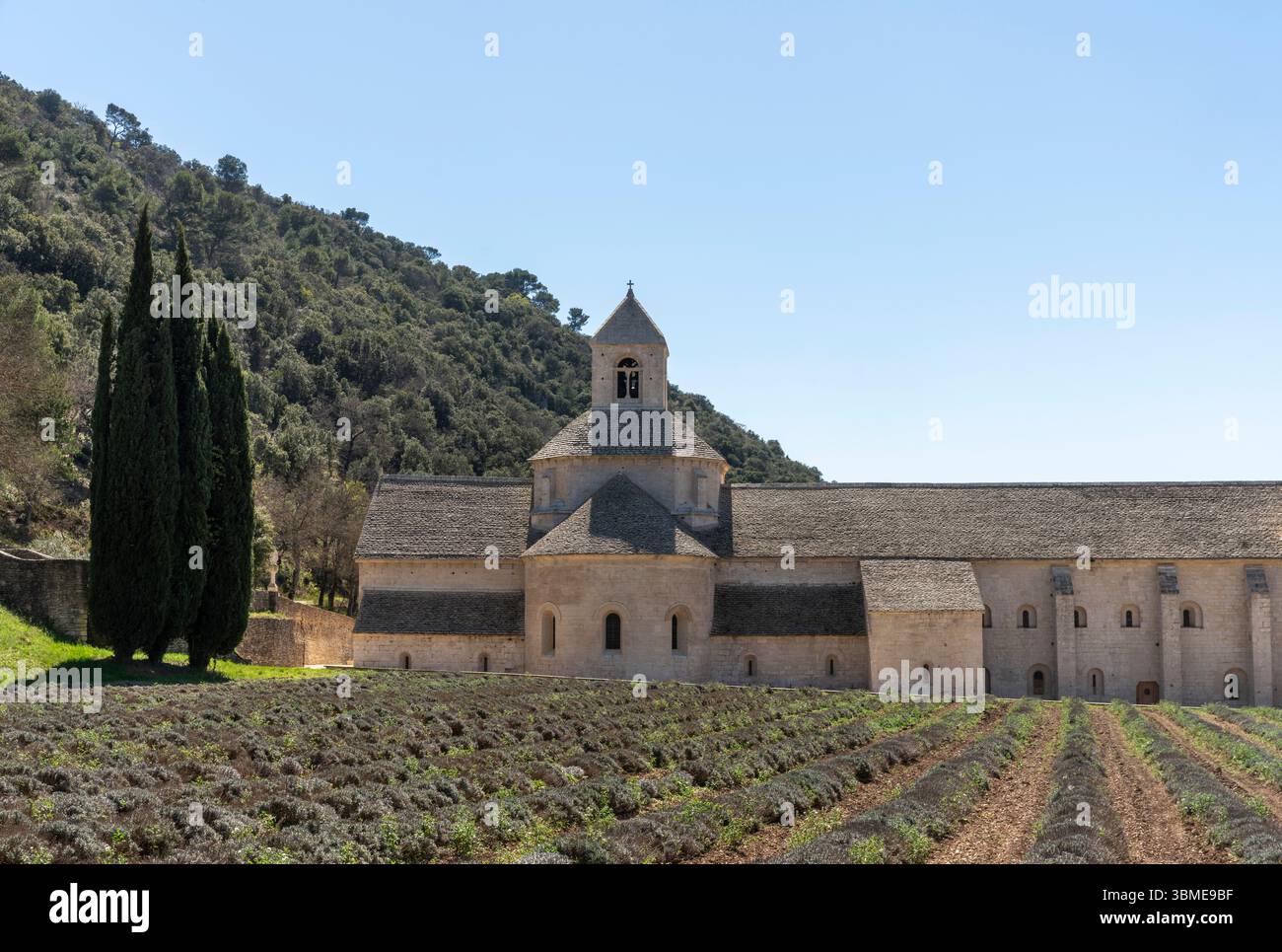 Senanque, Abtei Notre-Dame de Sénanque, Blick von Osten in der ...