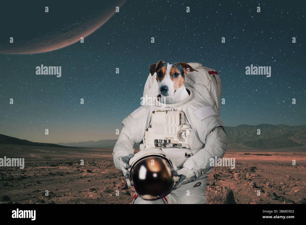 Dog Astronaut In A Space Suit With A Helmet Travels On Mars. Spaceman ...