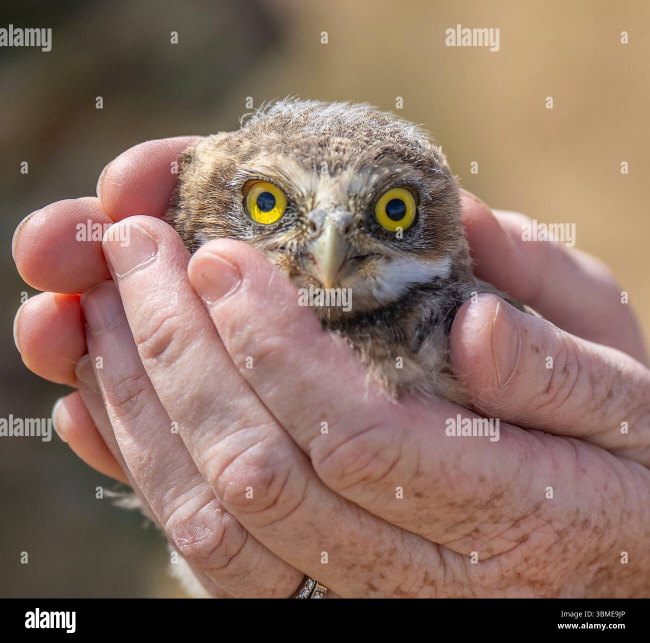 Rees training center hi-res stock photography and images - Alamy