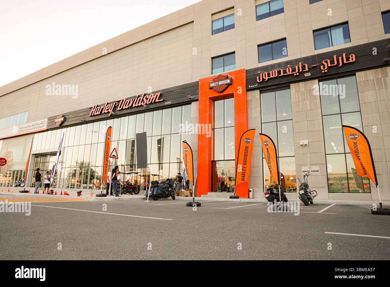 Harley Davidson motorcycles in a Harley-Davidson dealership in Doha ...