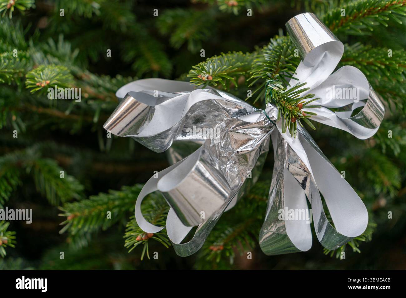 Silver bow on fir hi-res stock photography and images - Alamy