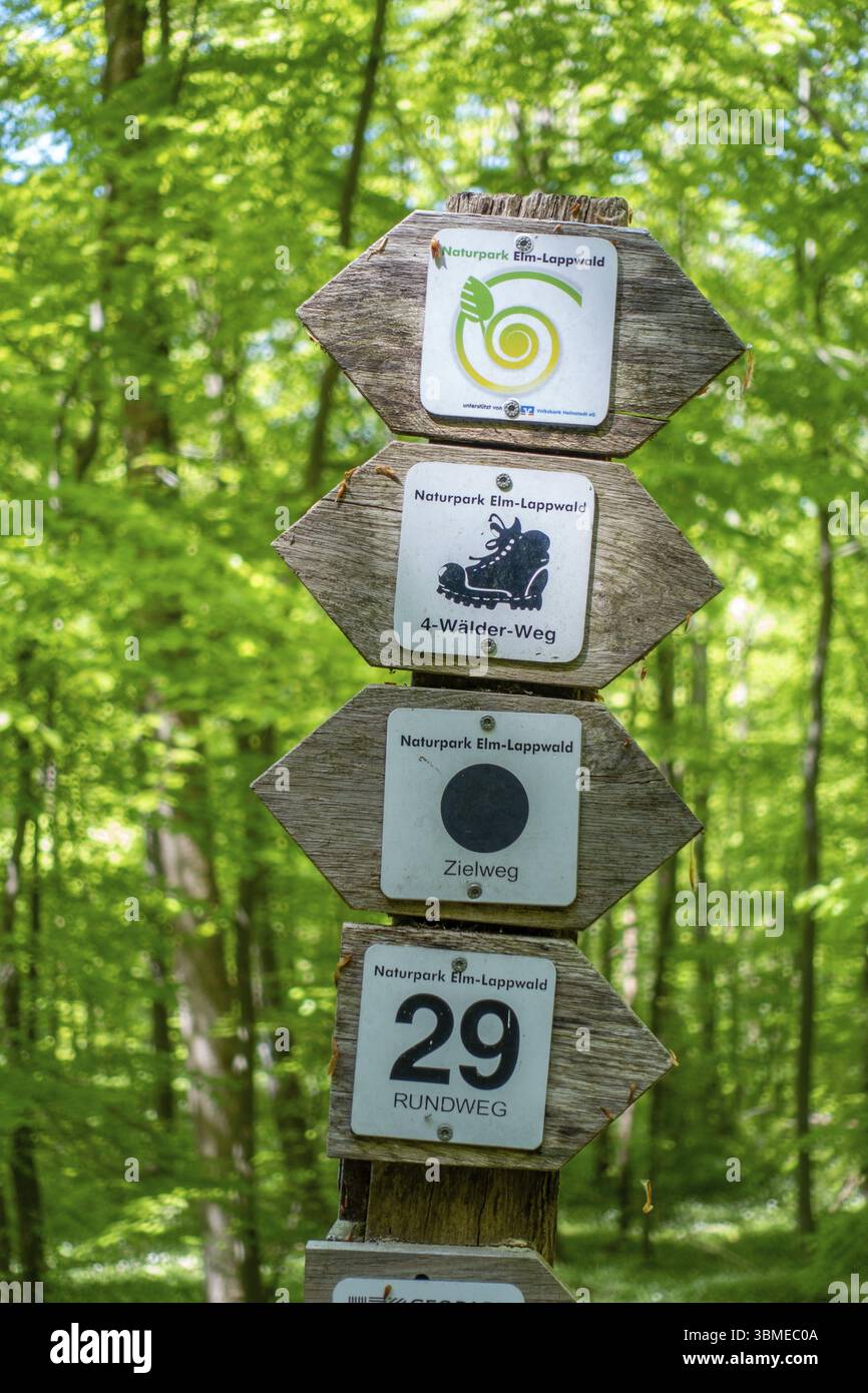 Signs for hiking trails in the Reitlingstal, Elm-Lappwald nature Park ...