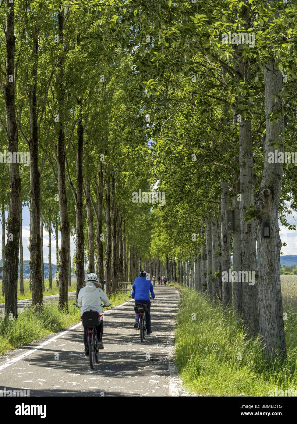 Access road cycle path hi-res stock photography and images - Alamy
