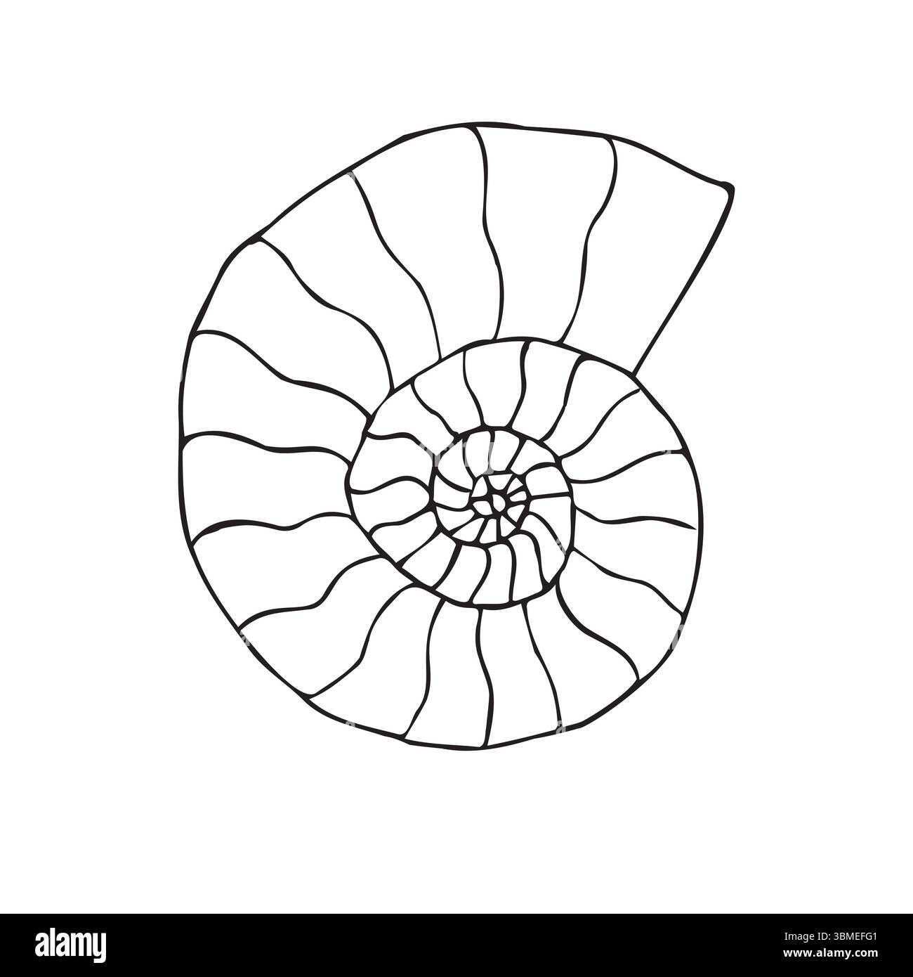 Vector hand drawn sketch doodle outline ammonite Stock Vector Image ...