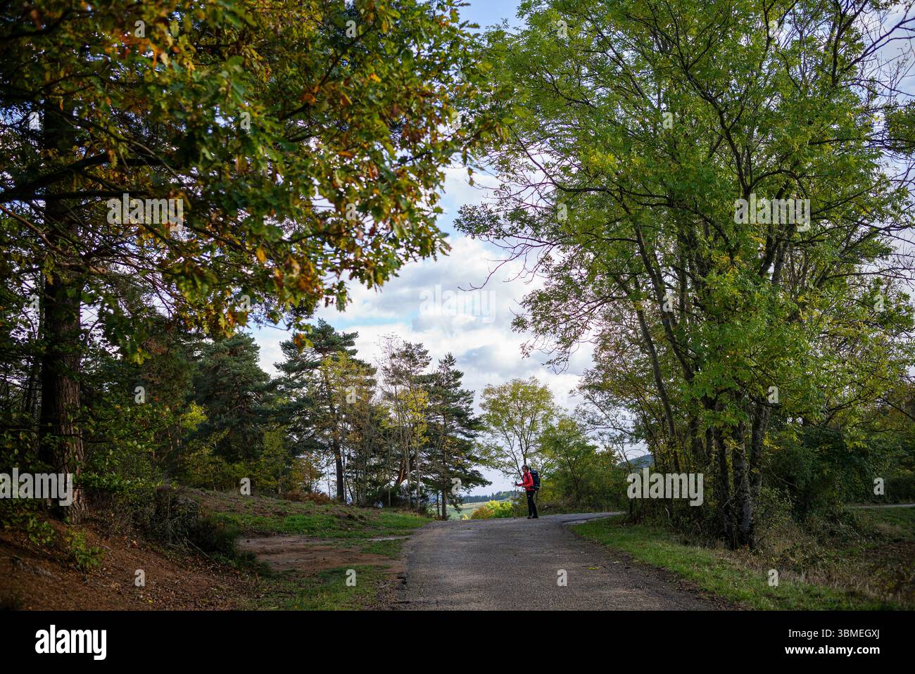 France, Loire, Saint Georges Haute-Ville, The Forez Mountains, Way of ...