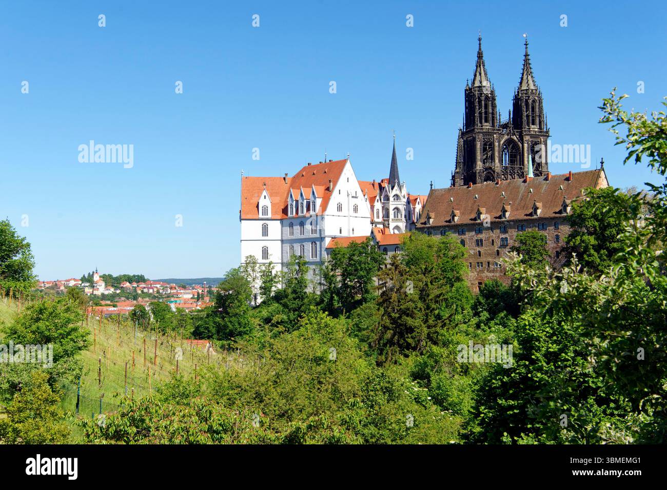 Germany, Saxony, Meissen, Castle hill with Cathedral and Albrechtsburg ...