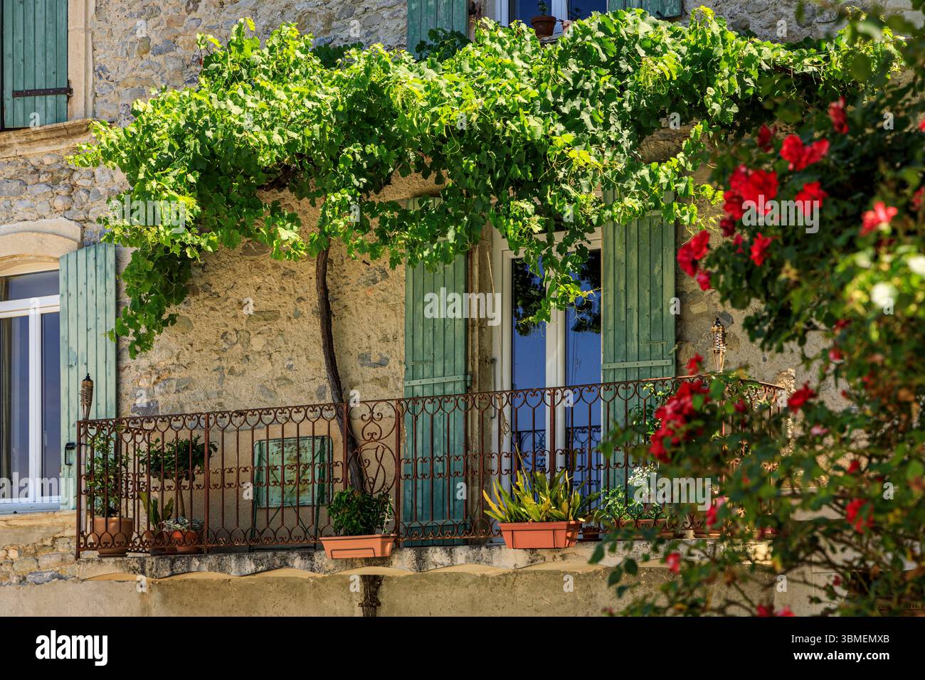 France, Drôme, Venterol, trellis above a wrought iron balcony Stock ...