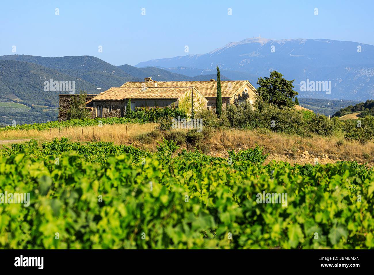 France, Drôme (26), Vinsobres, Collines du Nyonsais (Route remarquable ...