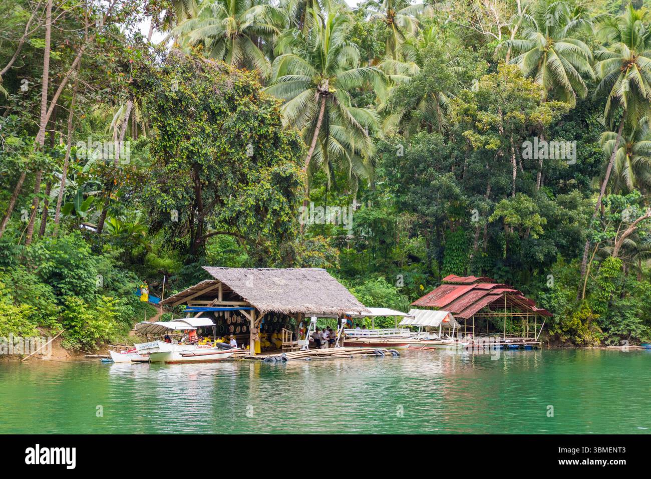 Philippines, Visayas archipelago, Bohol island, Loboc, Loboc Riverwatch ...
