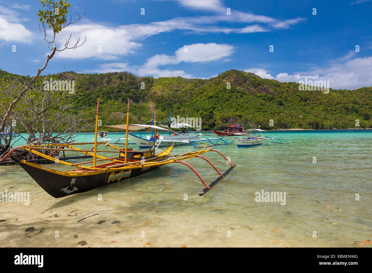 Philippines, Palawan, El Nido, Bacuit Bay, Snake island Stock Photo - Alamy