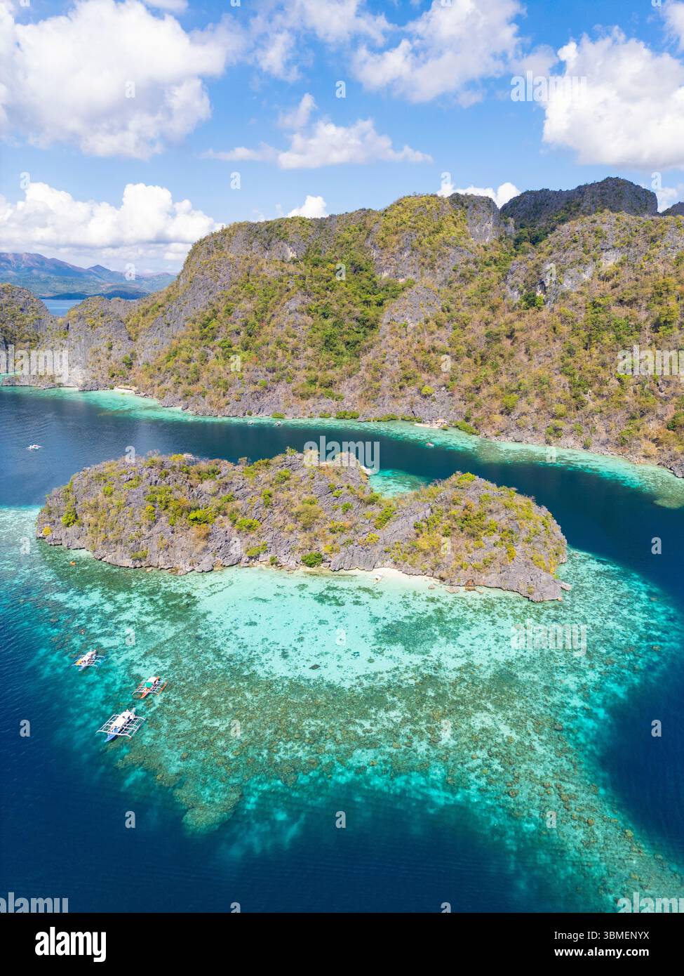 Philippines, Palawan, Calamian islands, Coron island, Coral Garden ...