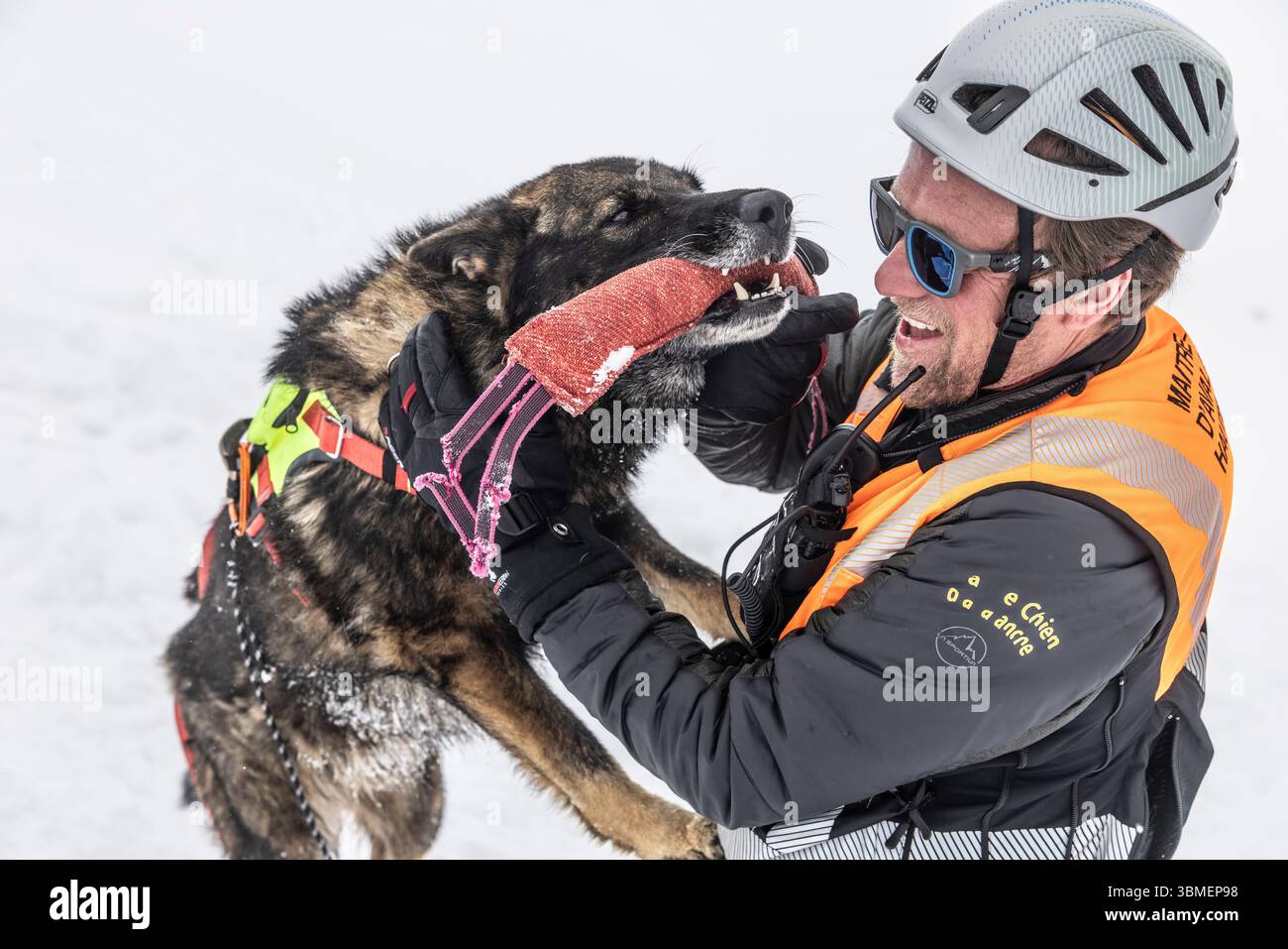 France, Haute Savoie, Chamonix Mont-Blanc, Brévent, Avalanche dog ...