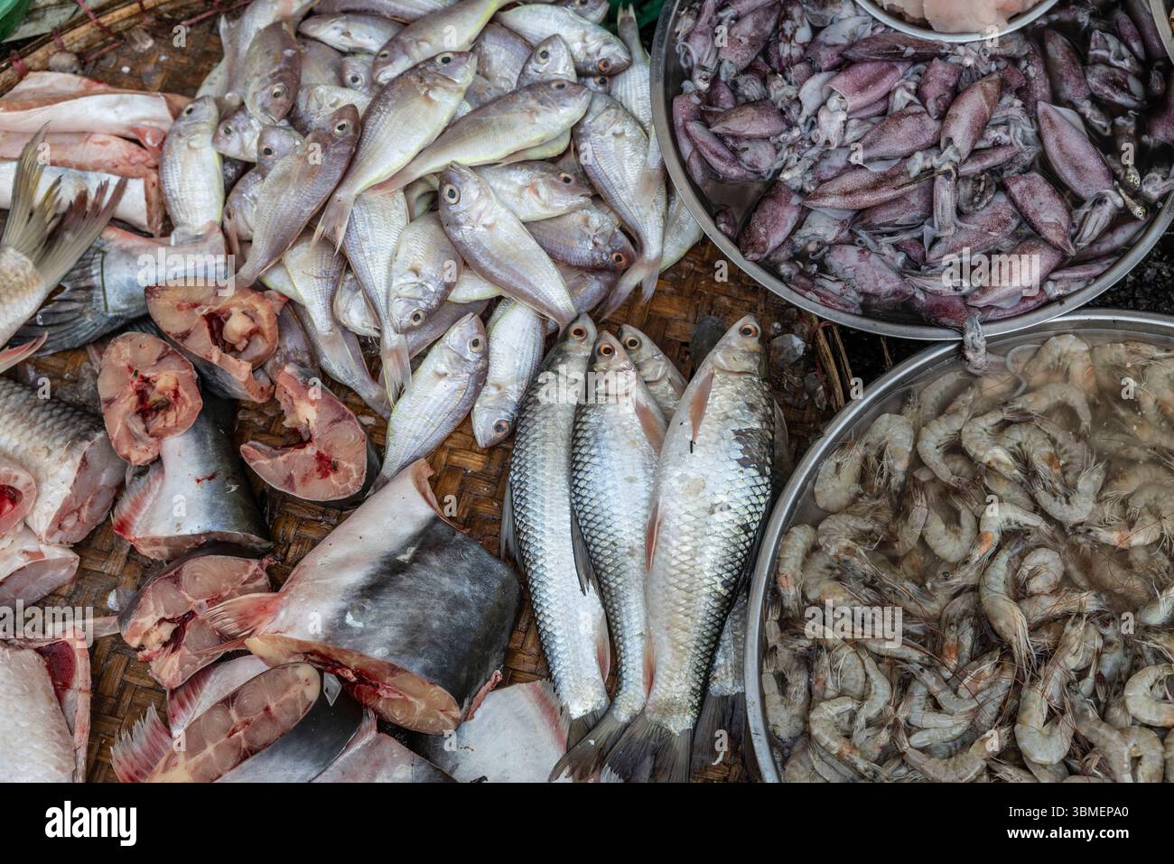 Myanmar (Burma), Yangon, fish market in the streets of the old town Stock Photo - Alamy