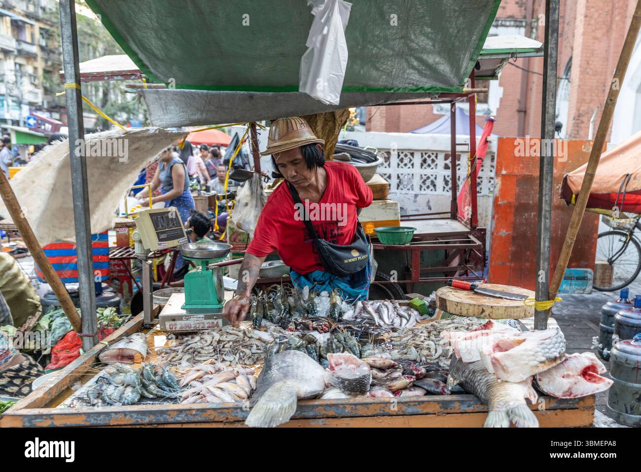 Myanmar (Burma), Yangon, fish market in the streets of the old town ...