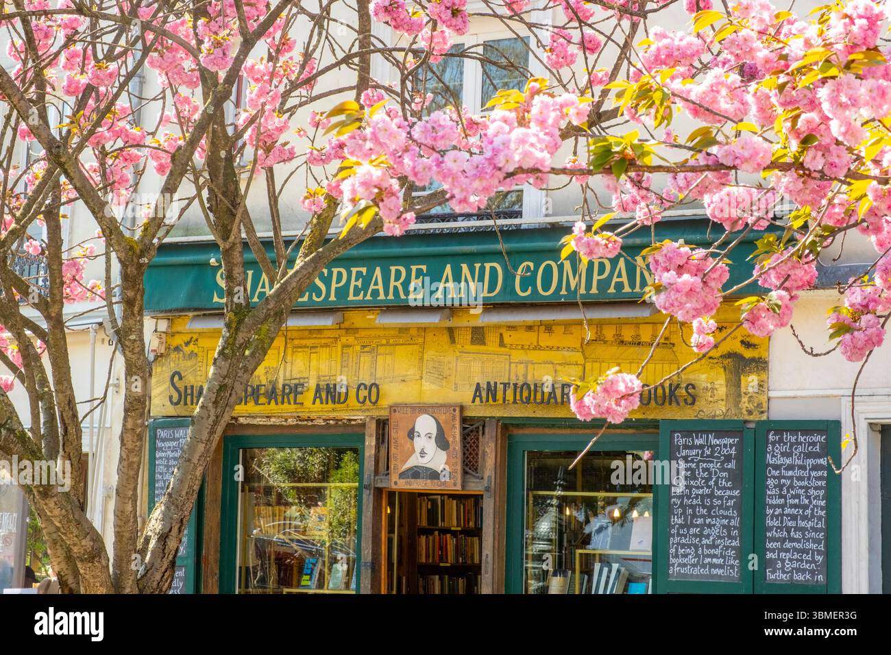 France, Paris, Saint Michel district, rue de la Bûcherie, cherry trees ...