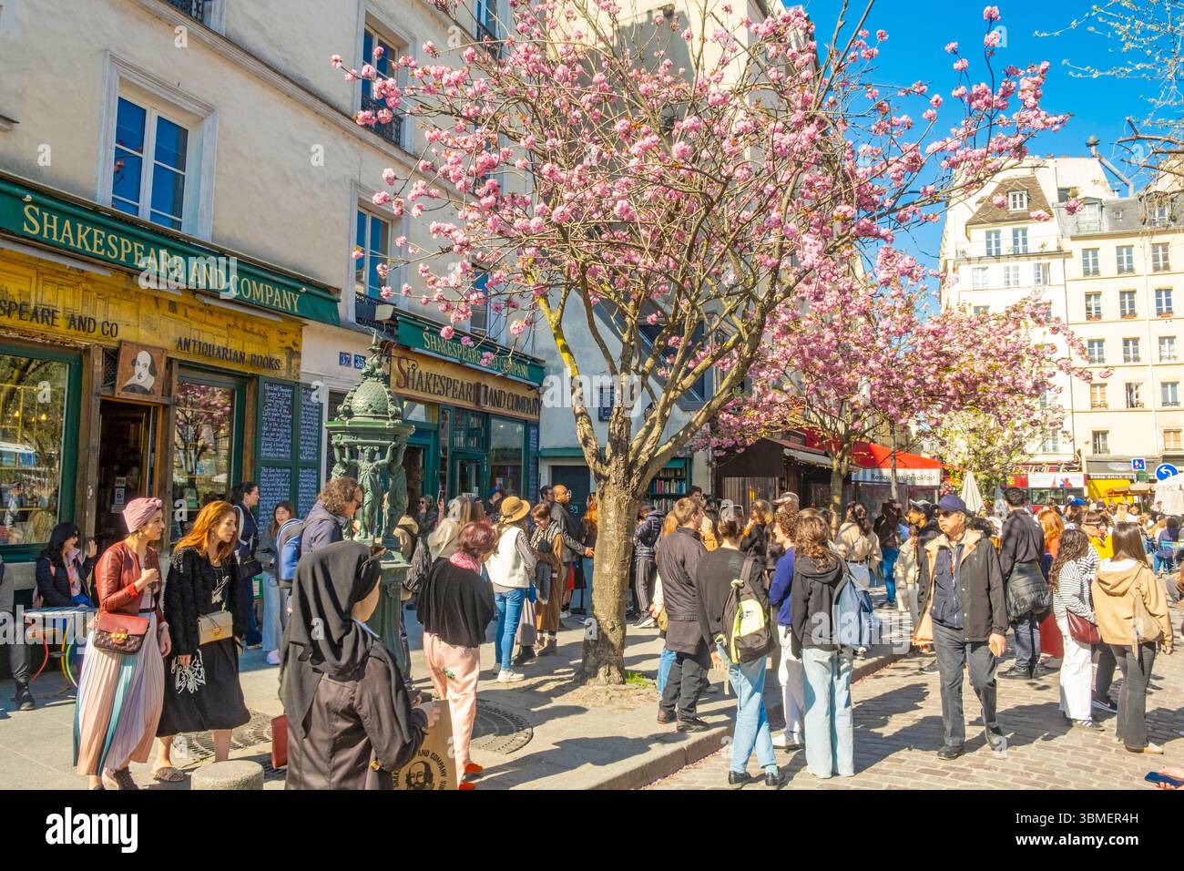 France, Paris, Saint Michel district, rue de la Bûcherie, cherry trees ...