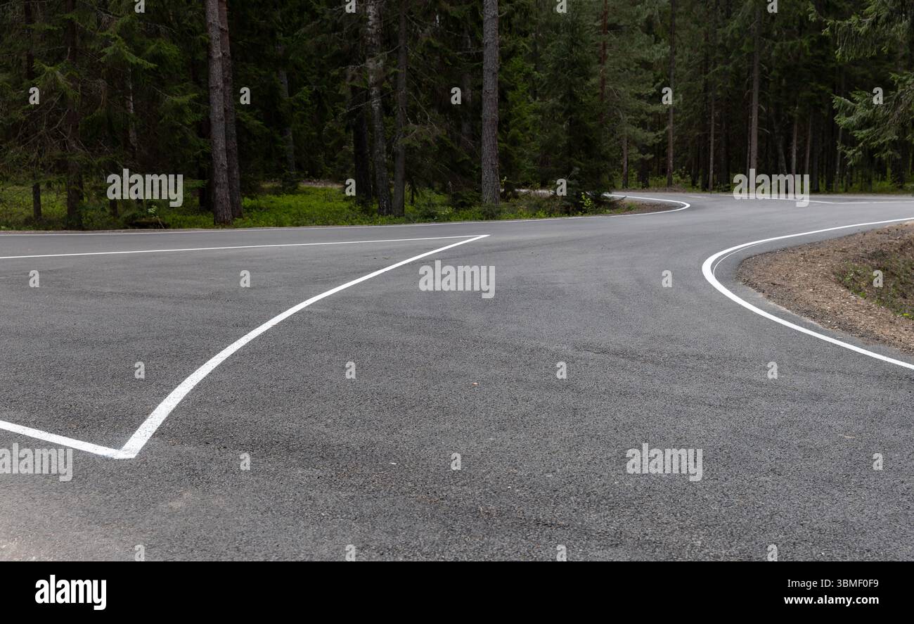 A paved road curves in a forested area, marked with directional lines ...
