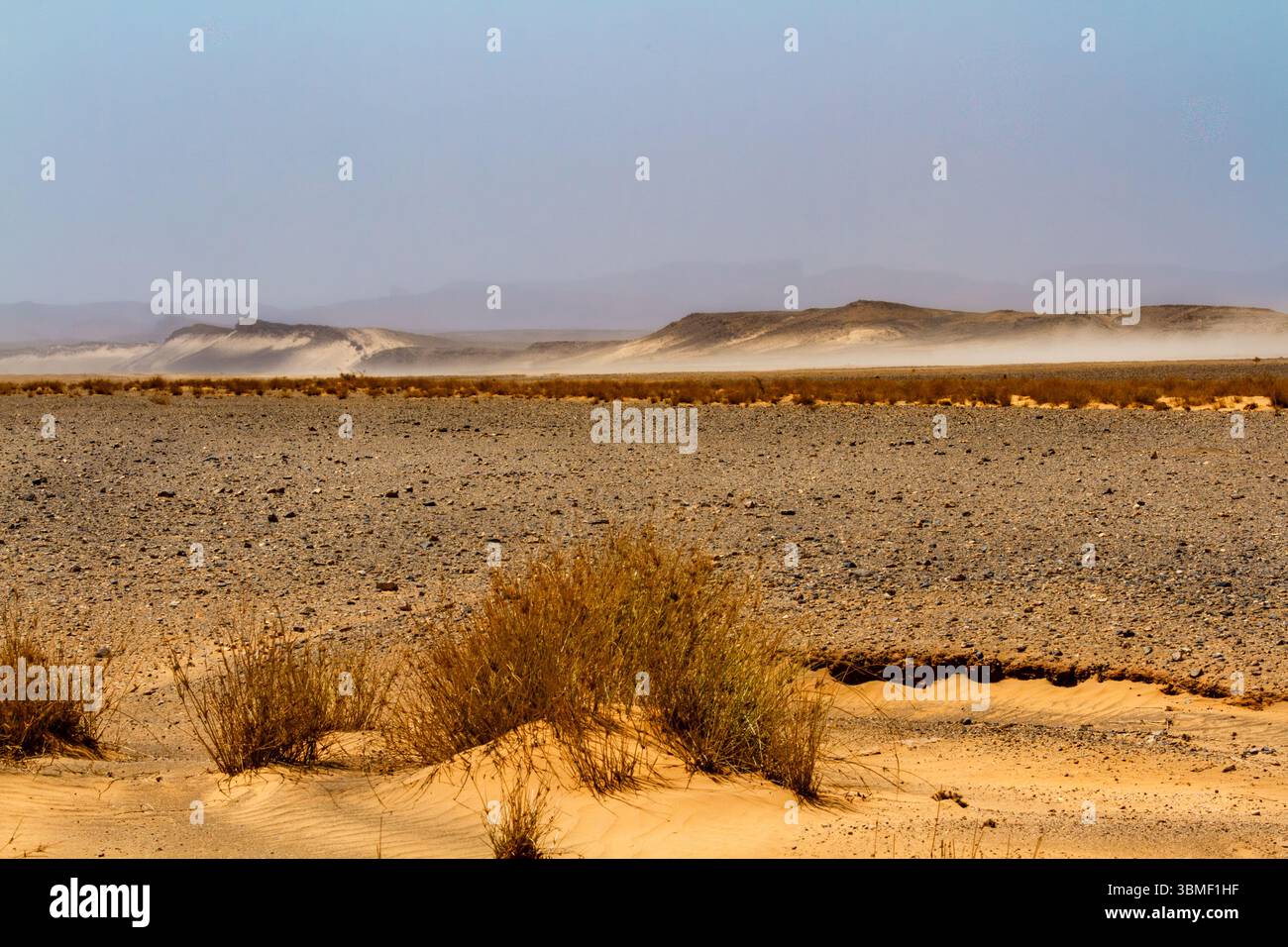 Dry flat stony desert called hamada. Hamada desert near the town of ...