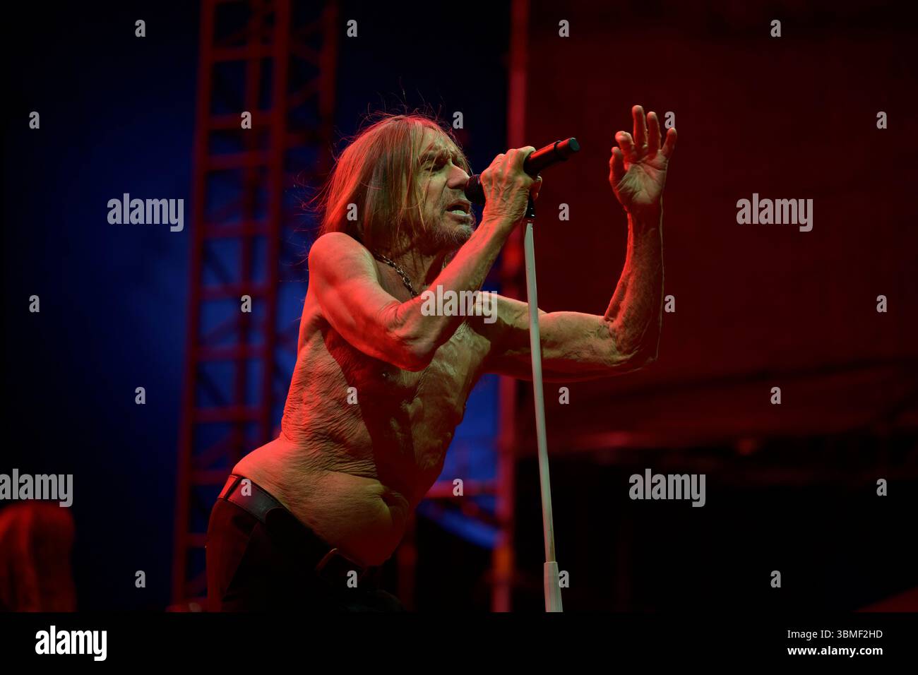 Iggy Pop live in der Musikarena beim Tollwood Festival, München 24.06.2025 *** Iggy Pop live in ...