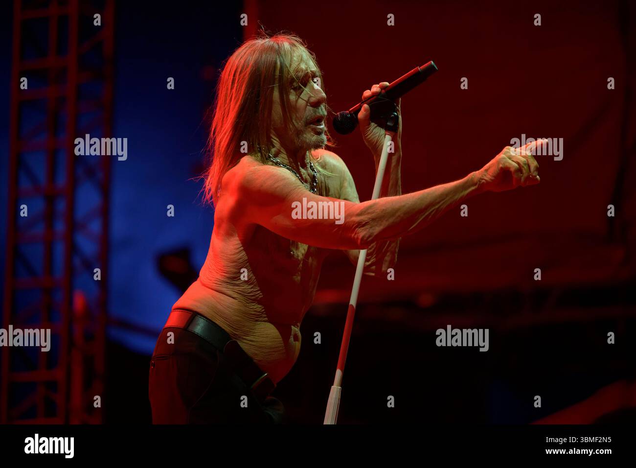 Iggy Pop live in der Musikarena beim Tollwood Festival, München 24.06. ...
