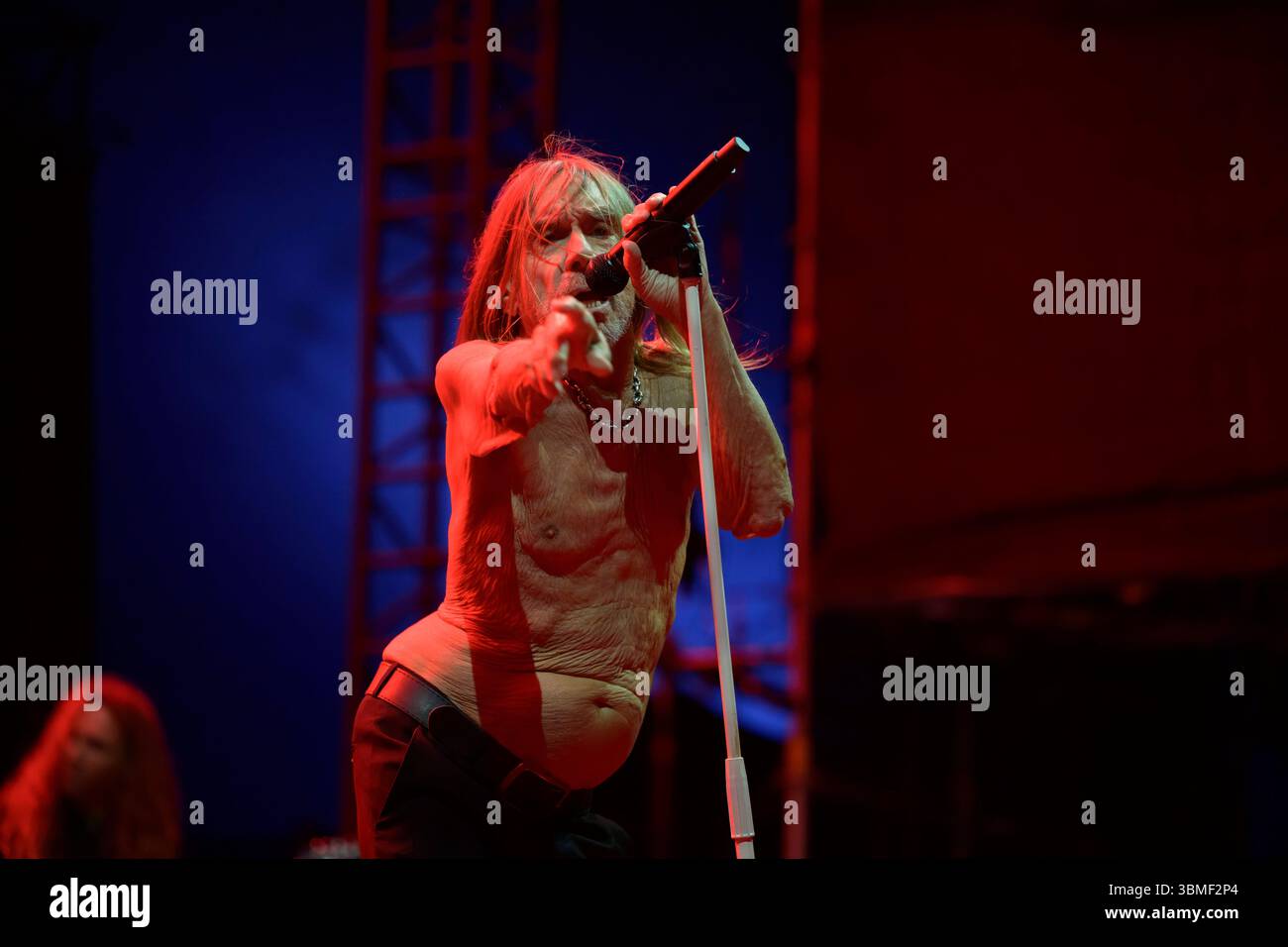 Iggy Pop live in der Musikarena beim Tollwood Festival, München 24.06.2025 *** Iggy Pop live in ...