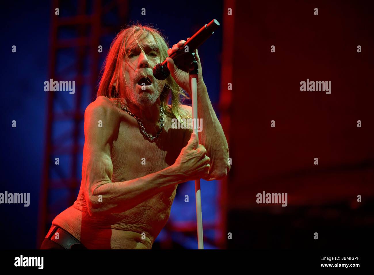 Iggy Pop live in der Musikarena beim Tollwood Festival, München 24.06. ...
