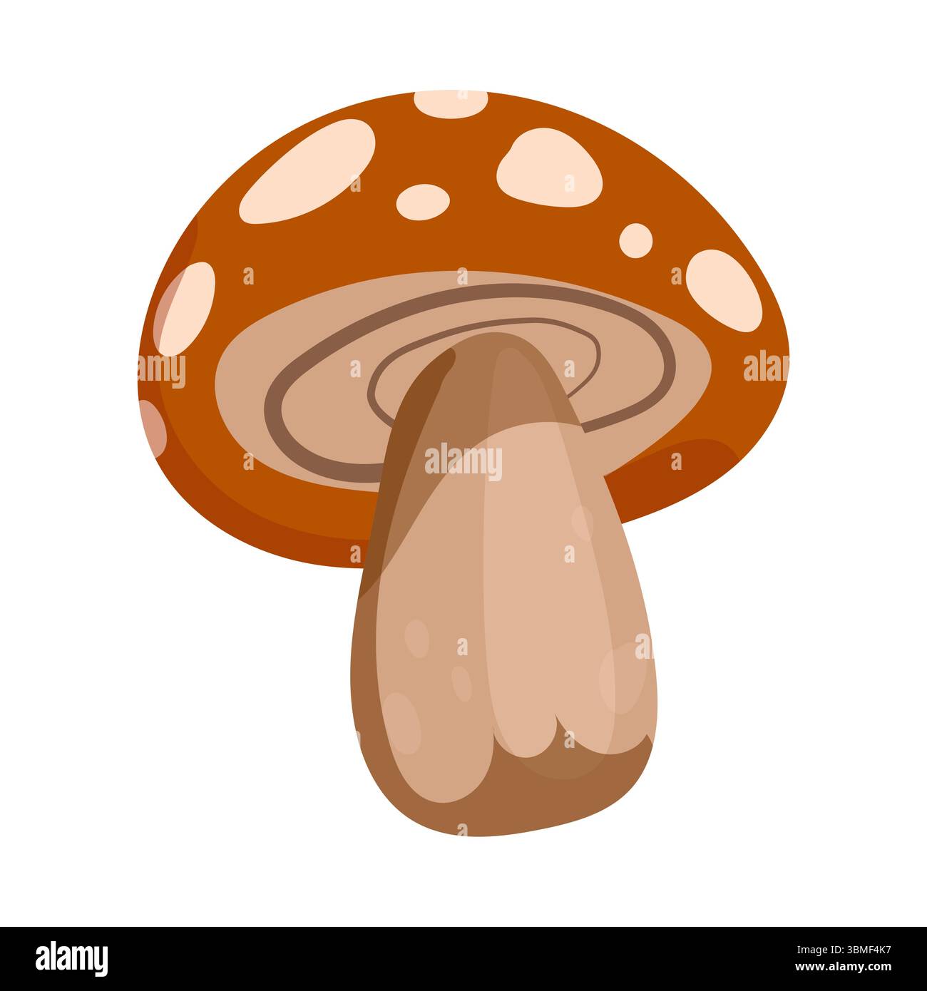 Set of cute autumn vector illustrations - mushrooms, fly agaric, leaves. Hand drawn plants. Flat ...