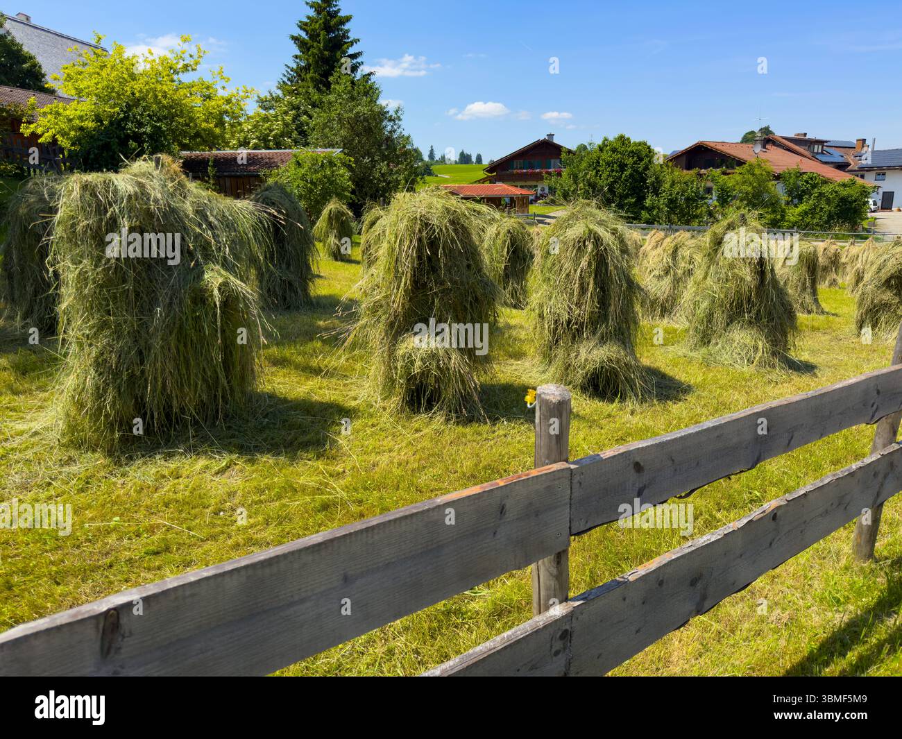 Scenic rural landscape with freshly harvested hay bales at June 18 ...