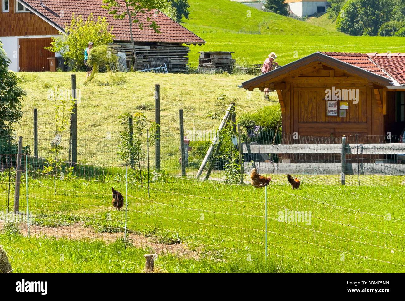 Scenic rural landscape with freshly harvested hay bales at June 18 ...