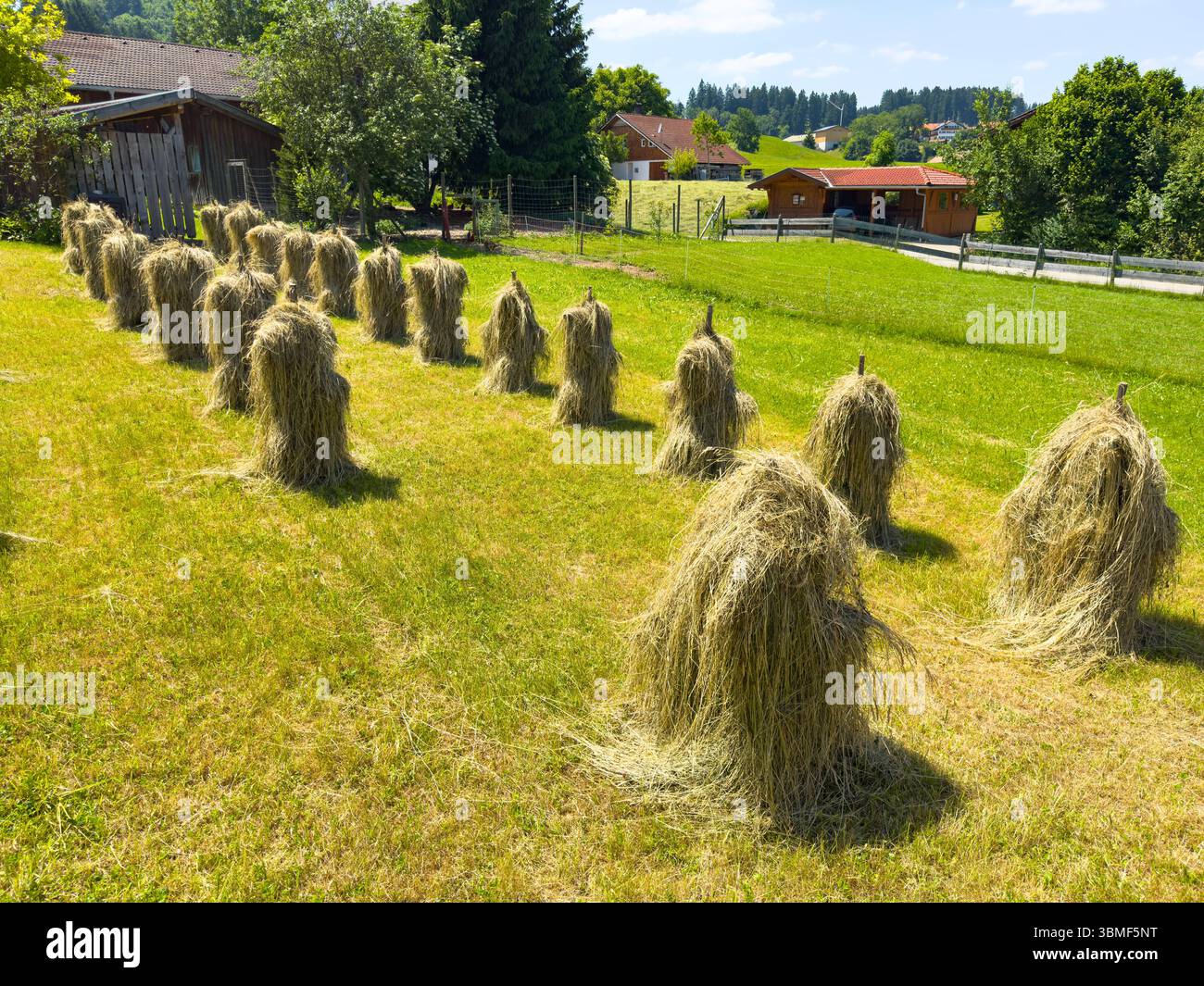 Scenic rural landscape with freshly harvested hay bales at June 18 ...