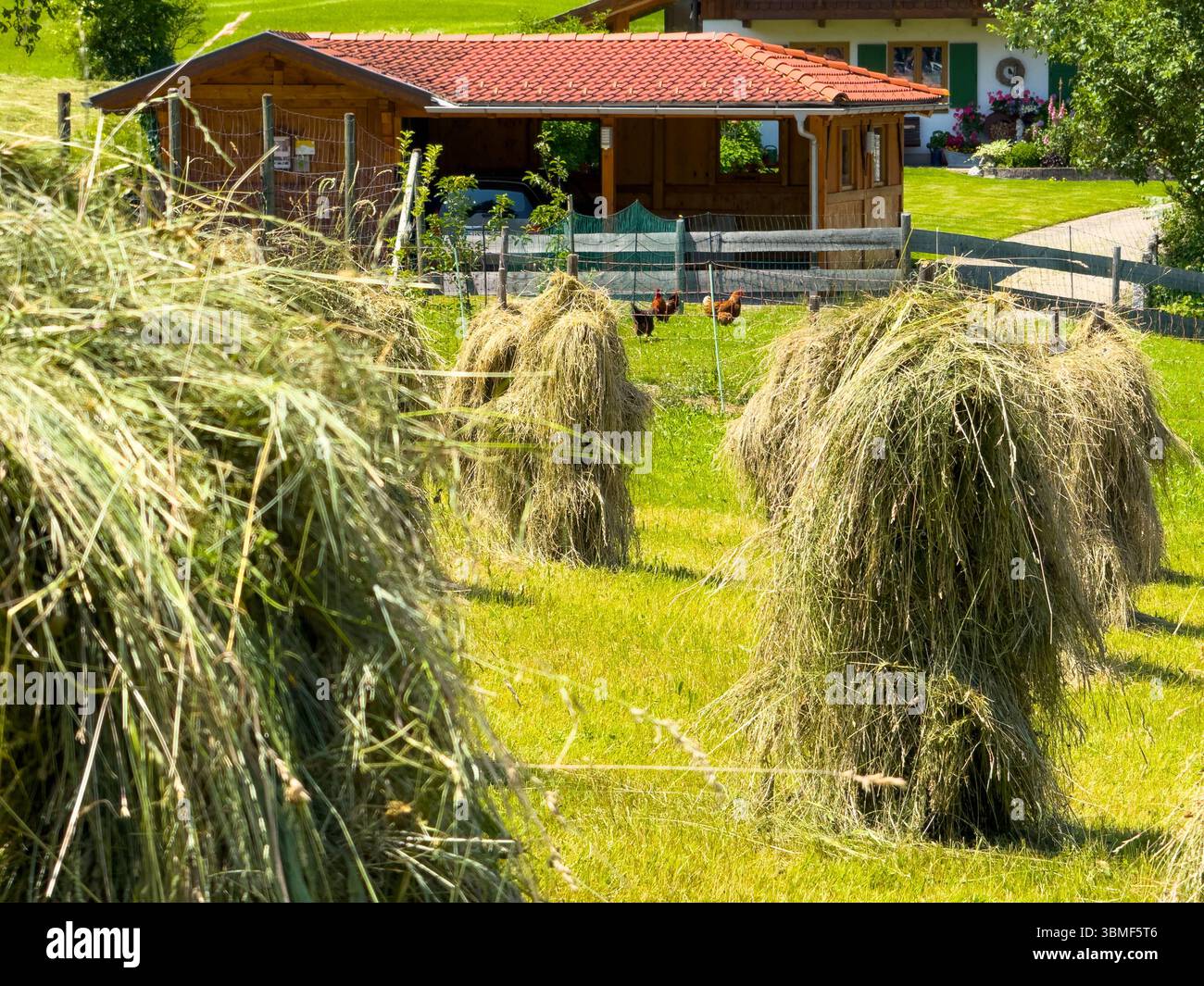 Scenic rural landscape with freshly harvested hay bales at June 18 ...