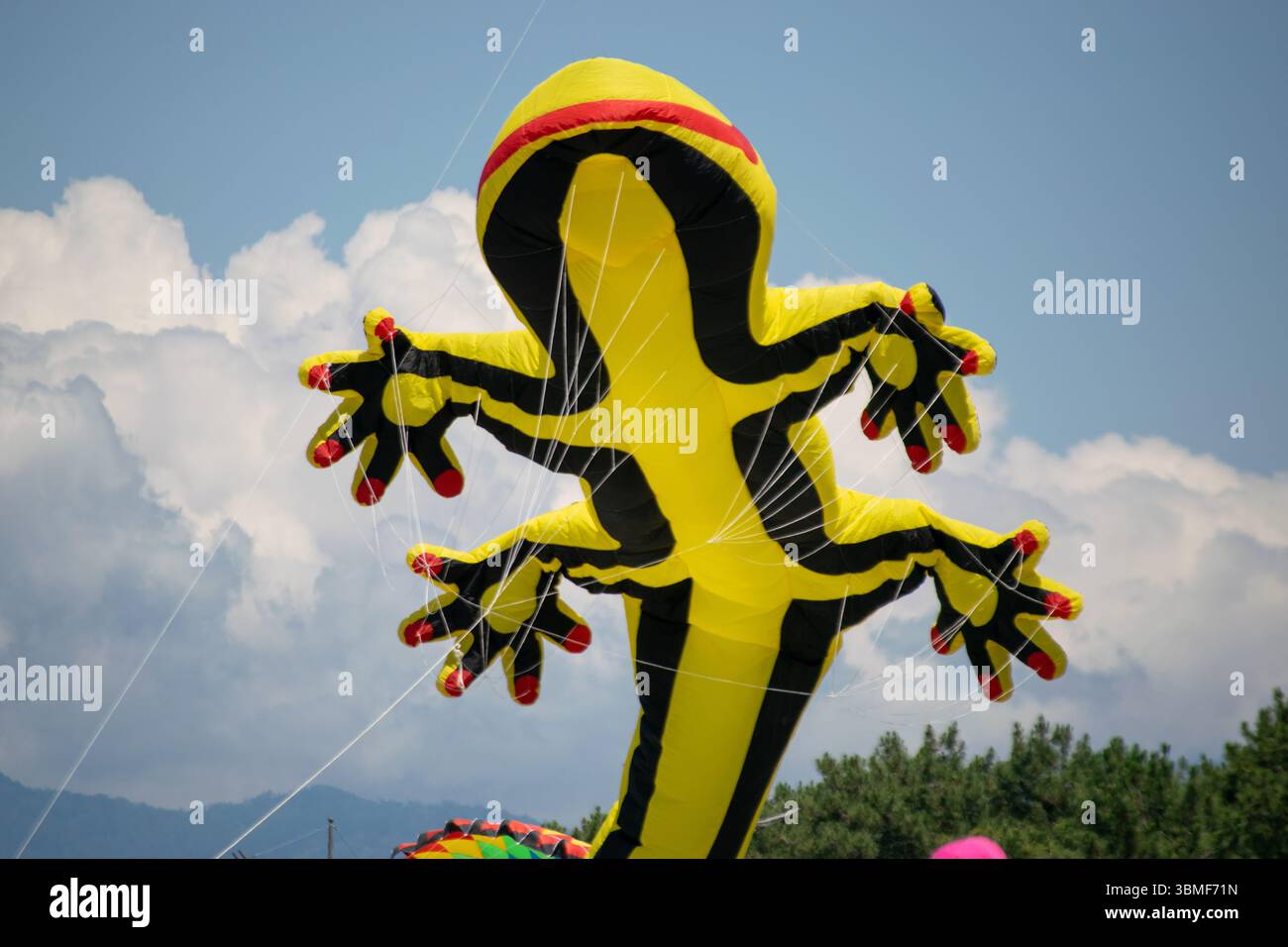 Streamlined lizard hi-res stock photography and images - Alamy