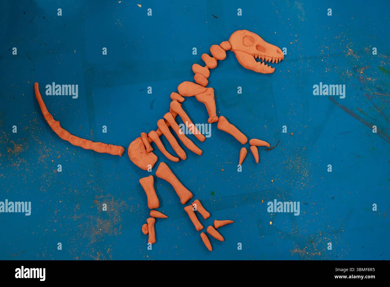 Complete clay dinosaur skeleton model on blue background, carefully ...