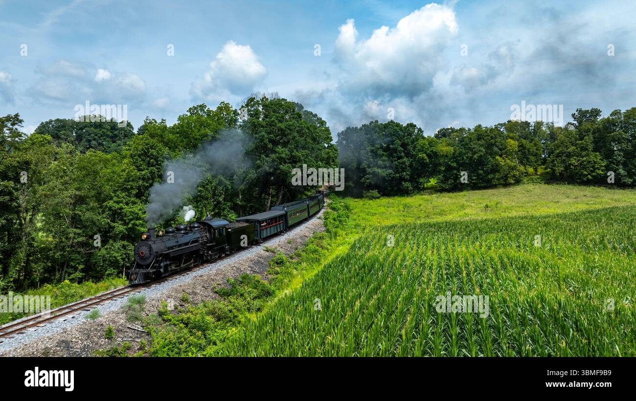 A historic steam train chugs along a winding track surrounded by lush ...