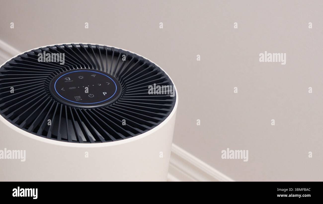 Tall round air purifier with a black top fan and a white body on a tile ...