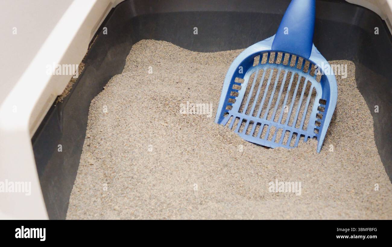 A clean cat litter box filled with fresh sand and a blue scoop ...