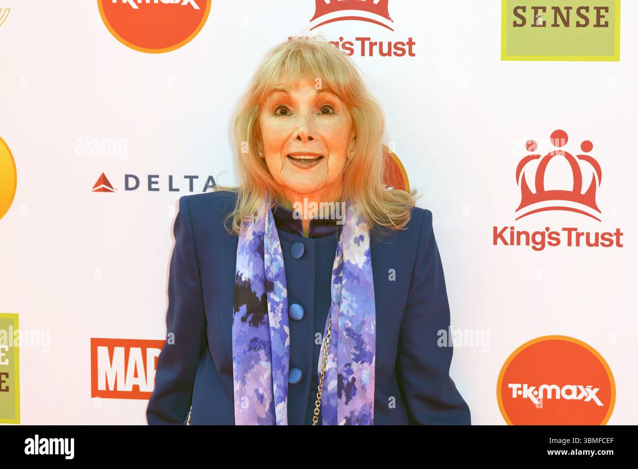 Susan Hampshire, The King's Trust and TK Maxx & Homesense Awards 2025 ...