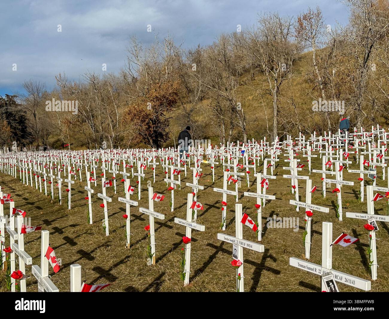 Calgary, Alberta - June 1, 2023: The field of crosses memorial during ...