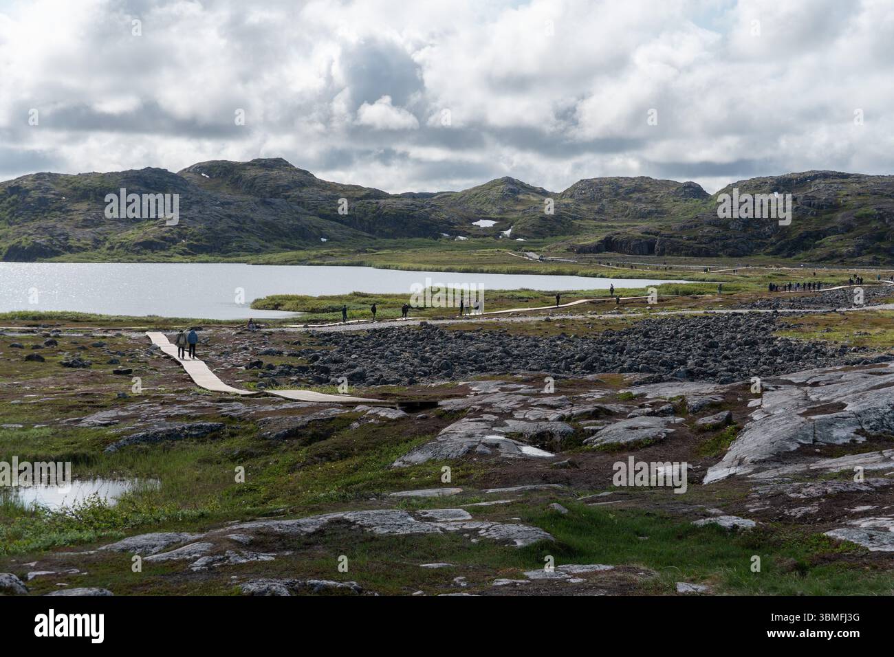 Scenic wooden trail winding through a remote Arctic landscape with ...