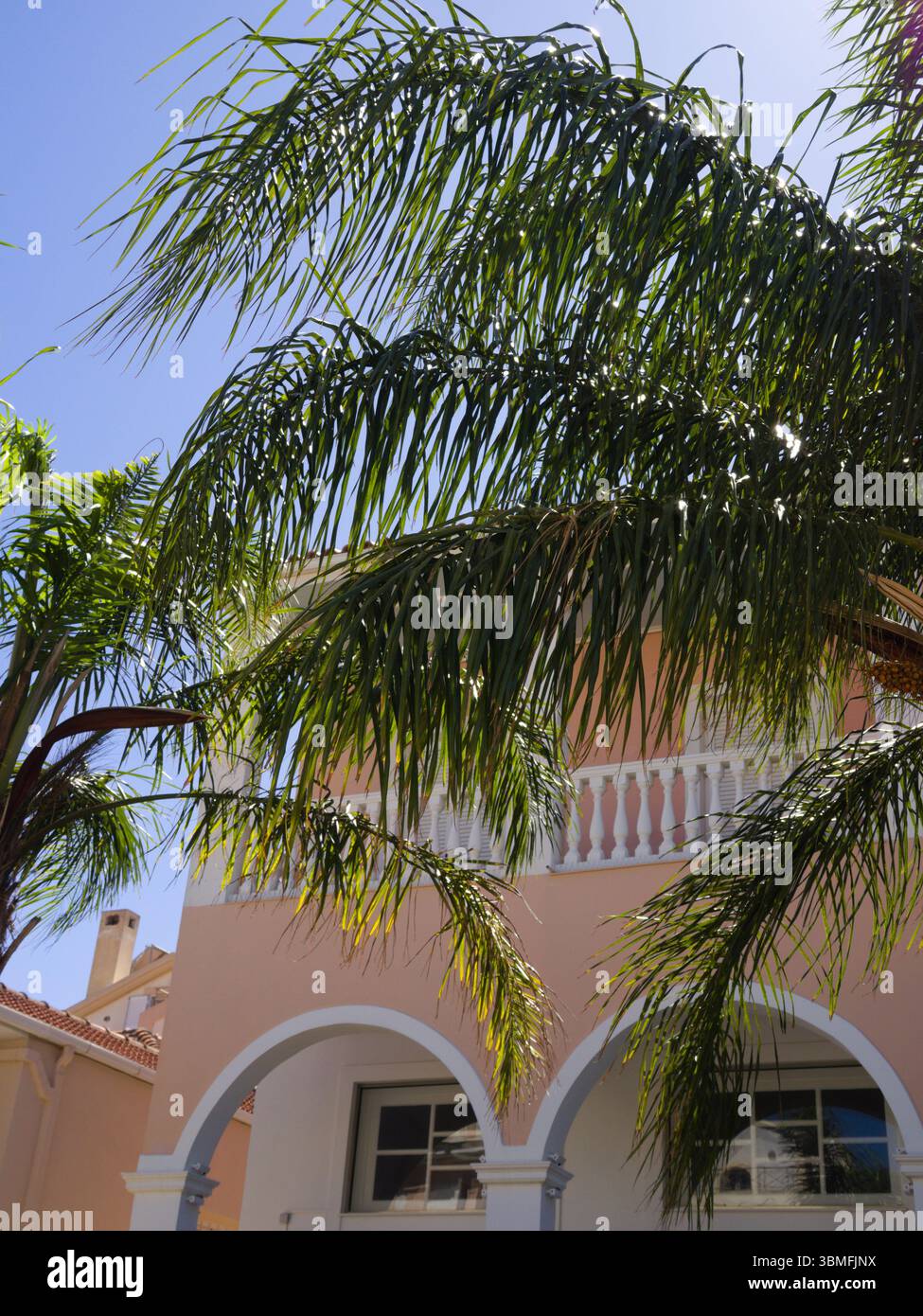 Soft pink Mediterranean villa facade with white details and windblown ...