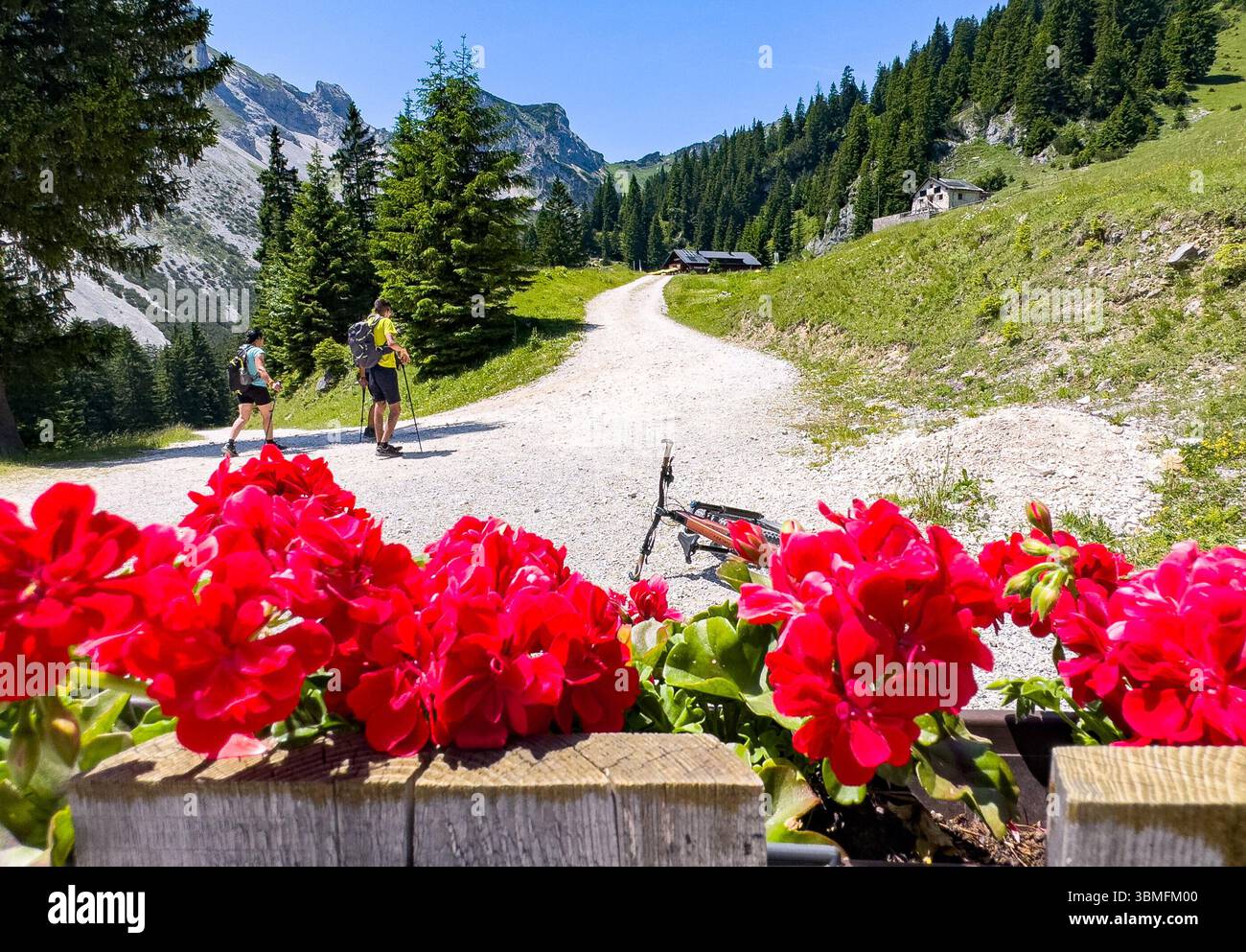 Reutte, Austria. 22nd June, 2025. Hiker at mountain hut Fuessener ...