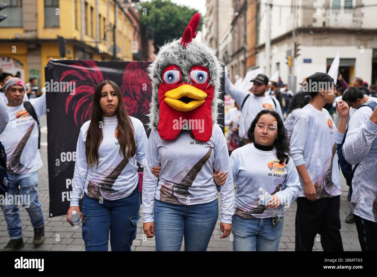 A demonstrator wearing a rooster head attends a protest against laws ...