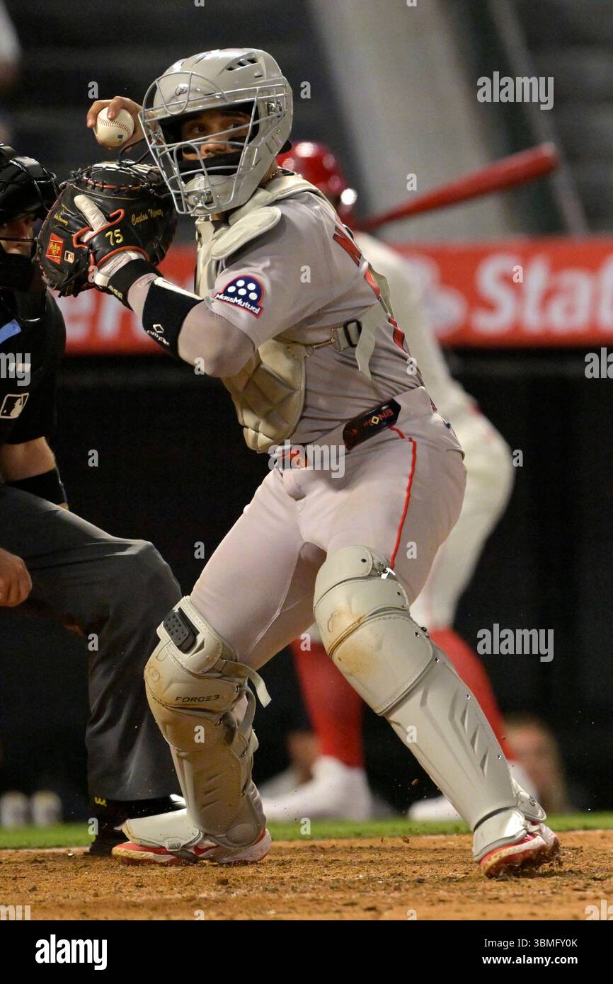 Boston Red Sox catcher Carlos Narvaez makes a play during a baseball ...